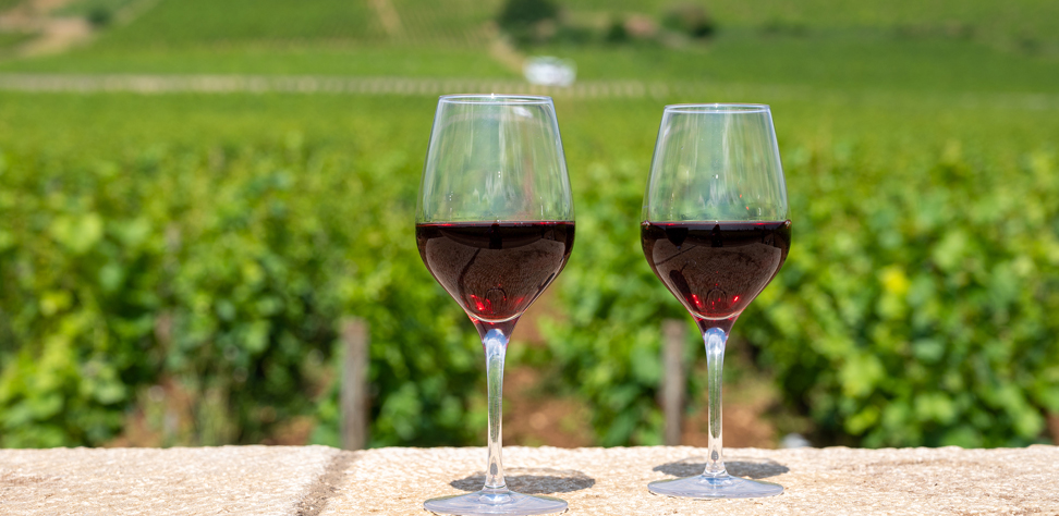 Society of Wine Educators